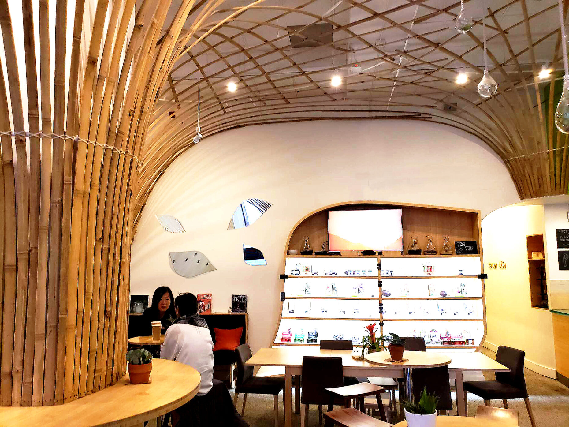 New Tree Cafe - Linsey Dunn Architecture